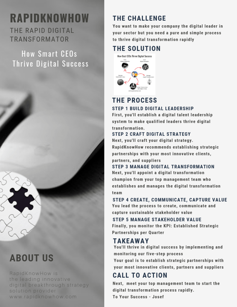 Becoming The Rapid Digital Leader - How Smart CEOs Establish Digital ...