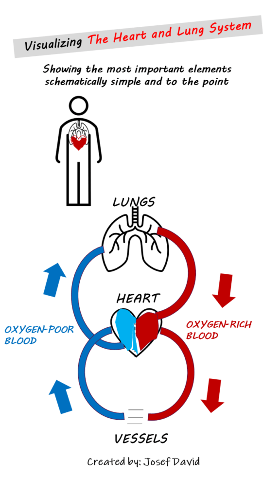 Cracking the FITNESS Code: HEART & LUNG - RapidKnowHow