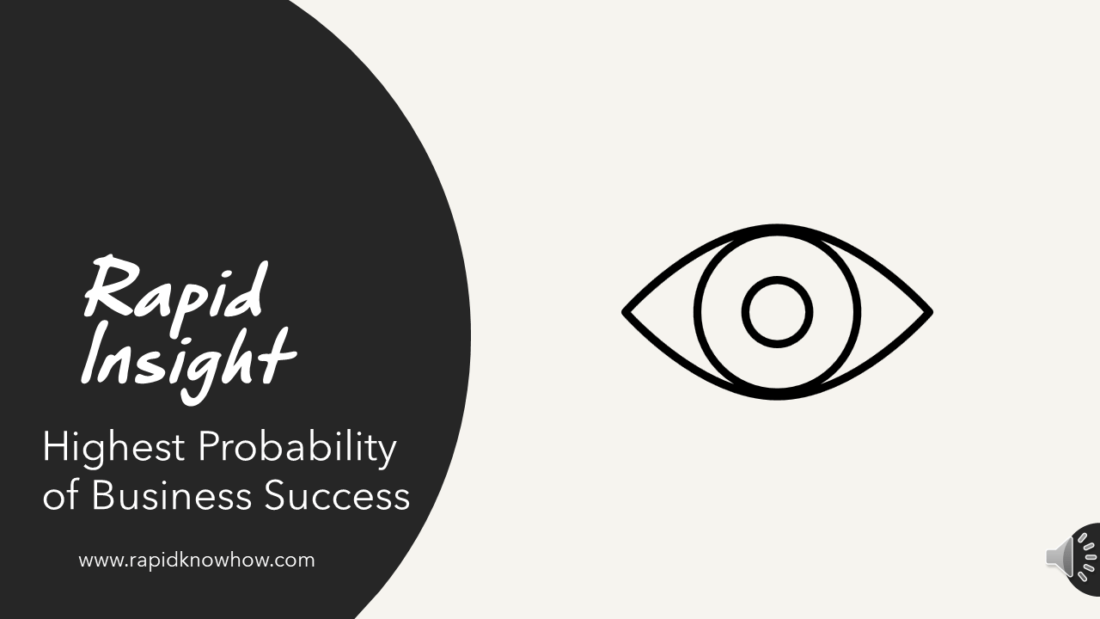 Rapid Insight - How to increase the probability of your business ...